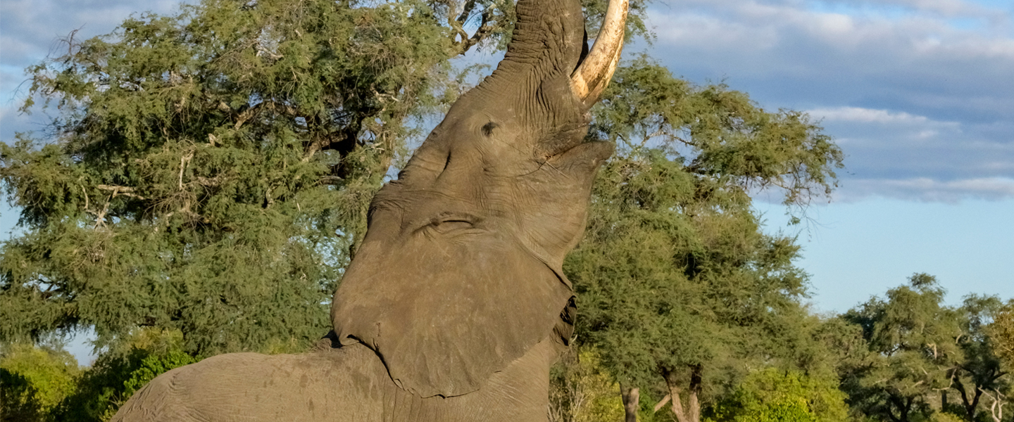 Simbabwe - WORLD INSIGHT Erlebnisreisen